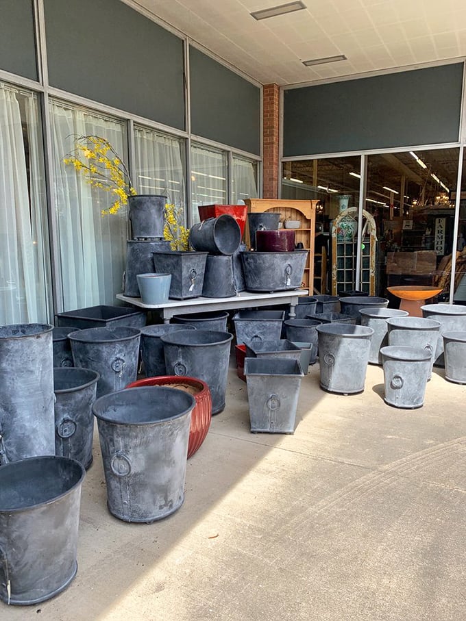These galvanized planters aren't just containers&mdash;they're industrial chic sculptures waiting to transform your garden or urban apartment.