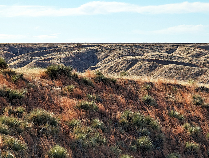 Prairie grasses dance in the Kansas wind, their russet tones creating a perfect complement to the rugged badlands beyond.