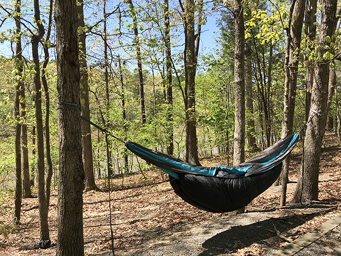 The hammock life: suspended between two pines and reality, swaying gently in dappled sunlight&mdash;nature's own stress rehab center.