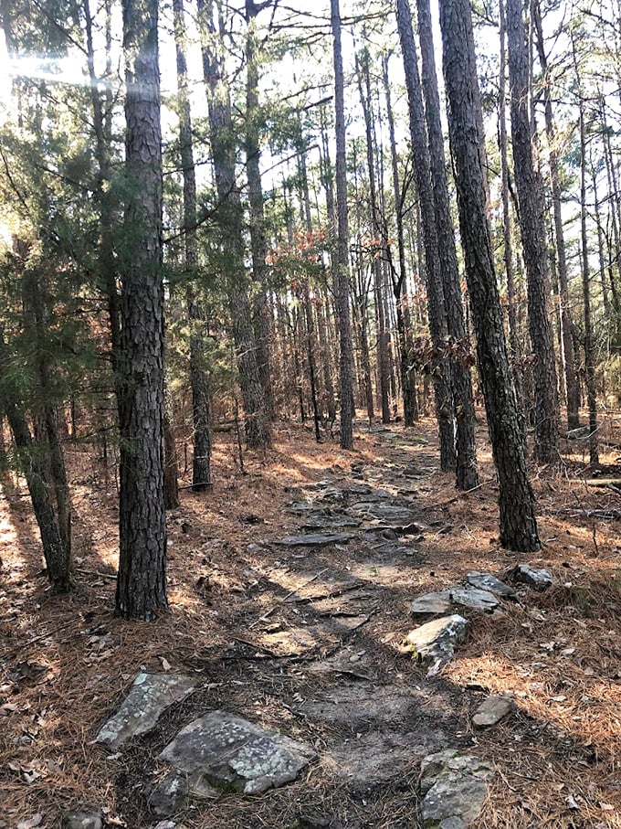 This rocky trail through pine forests promises adventure with every step&mdash;no treadmill could ever compete with this view.