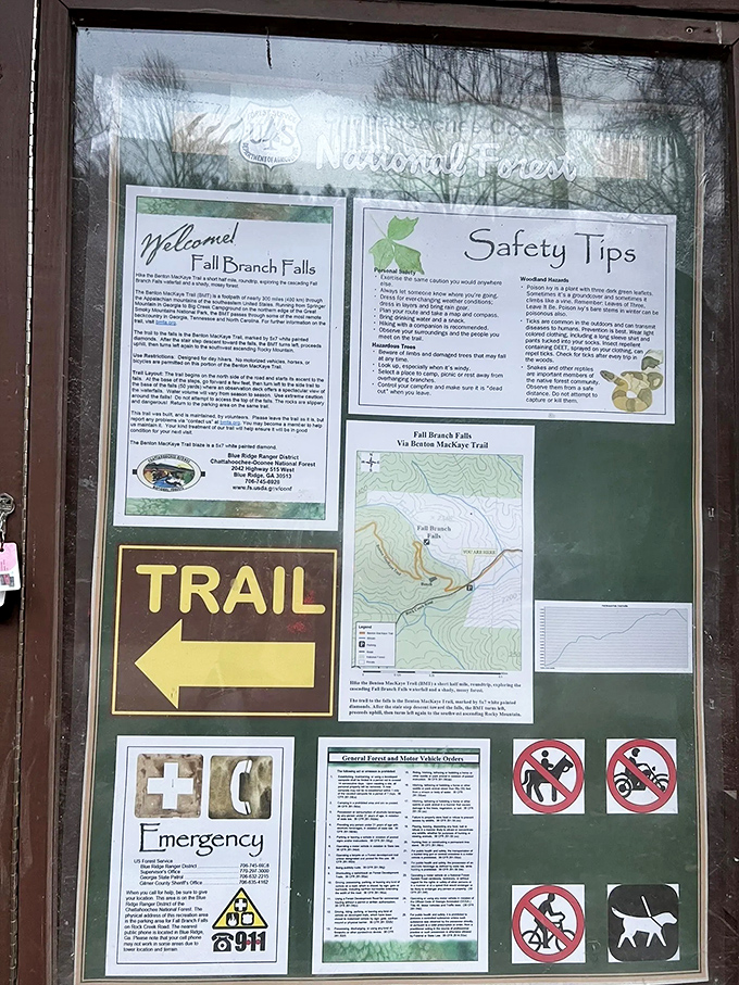 The informational equivalent of "read me before assembly." This board offers the trail's CliffsNotes version before your woodland immersion begins.