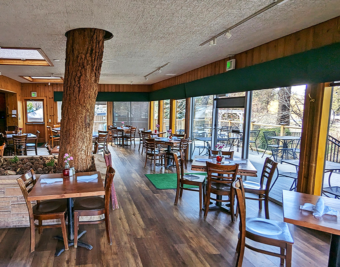 Where trees and tables coexist in perfect harmony. The skylights add a touch of heaven to this woodland-inspired dining room. 