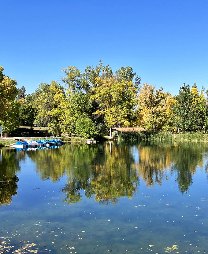 An aerial view reveals Chadron's tree-lined streets embracing the town like a green hug. Who said Nebraska was just endless plains? 