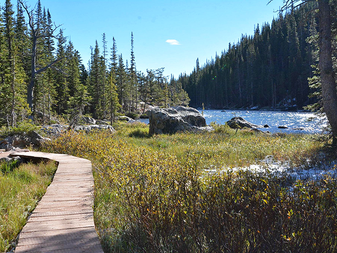 Wooden boardwalks: saving your shoes and the ecosystem simultaneously. The perfect viewing platform for contemplating life's big questions or just admiring the ripples.