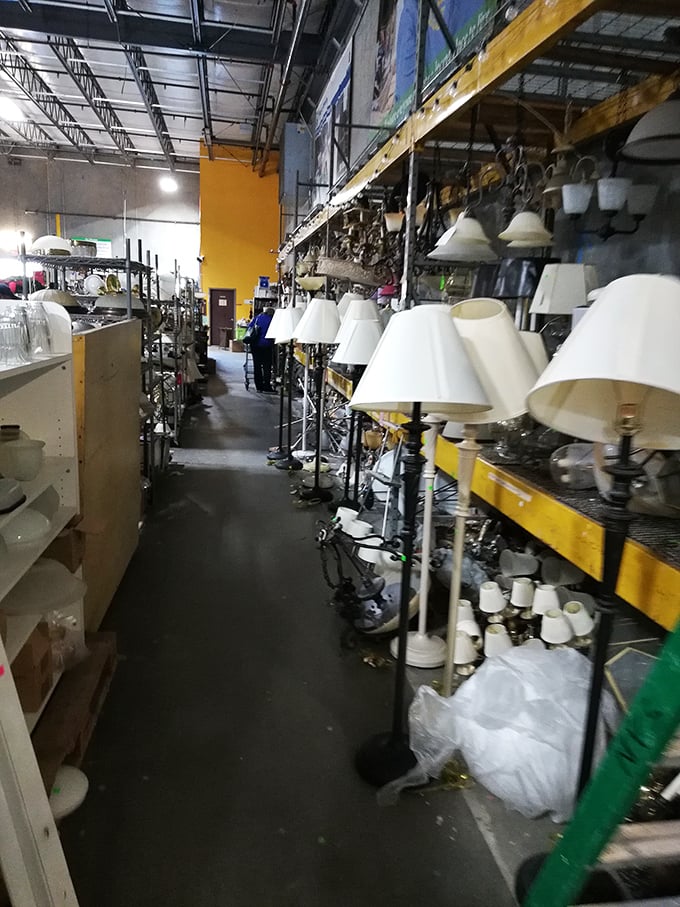 The lamp section glows with possibility – each one with a story to tell and a corner of your home to brighten.