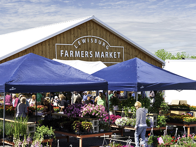 The Farmers Market isn't just shopping&mdash;it's Saturday morning theater. Where conversations about heirloom tomatoes lead to friendships that outlast growing seasons.