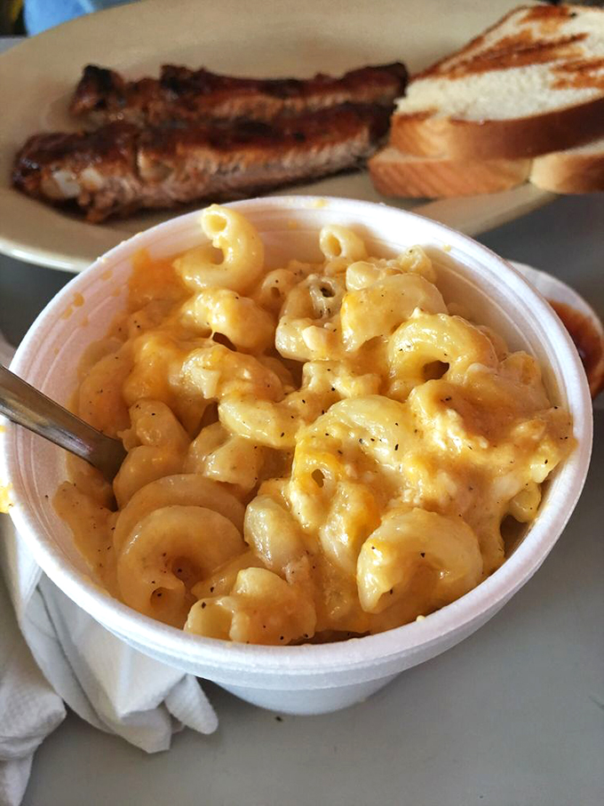 Mac and cheese so creamy it should require a warning label. This isn't a side dish; it's the supporting actor that steals the show.