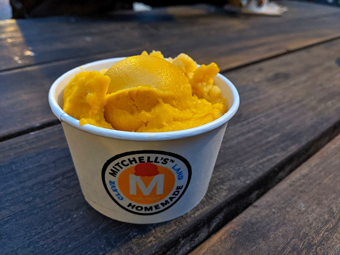 Sunshine in a cup. This mango sorbet is wearing summer yellow like it's going to a tropical-themed Oscar party.