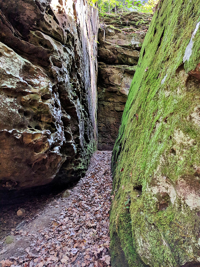 Squeeze through nature's embrace as moss-covered walls close in, creating a passageway that feels straight out of "Indiana Jones"&mdash;minus the booby traps.