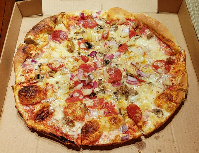 This isn't just pizza&mdash;it's a circular canvas where pepperoni, red onions, and cheese create an edible masterpiece of epic proportions.