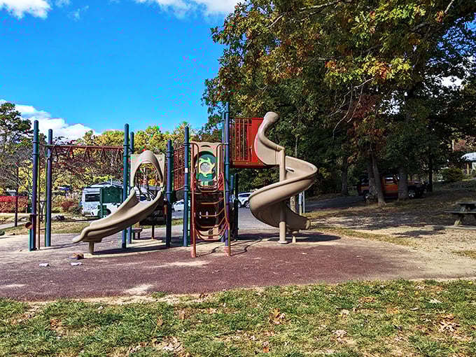 Even the playground equipment seems happier here, surrounded by trees and fresh mountain air that makes kids (and parents) forget about screen time.