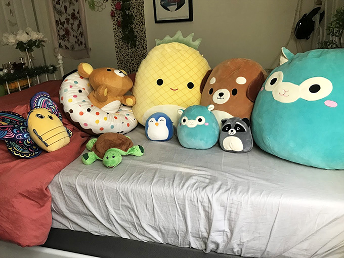 A cheerful congregation of plush companions waiting for their forever homes &ndash; that pineapple pillow might just complete your life.