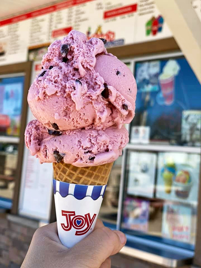 Berry bliss on a cone. This raspberry chip creation isn't just ice cream&mdash;it's what summer berries dream of becoming when they grow up.