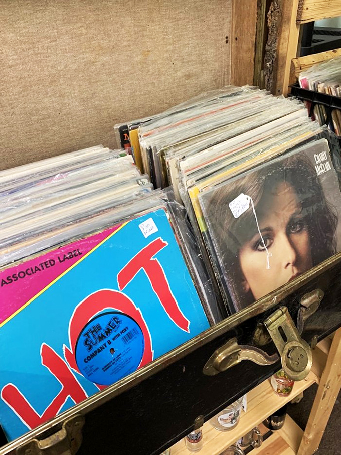 Vinyl treasures waiting to be rediscovered, because nothing says "I'm cultured" like a Hot Chocolate album in your collection.