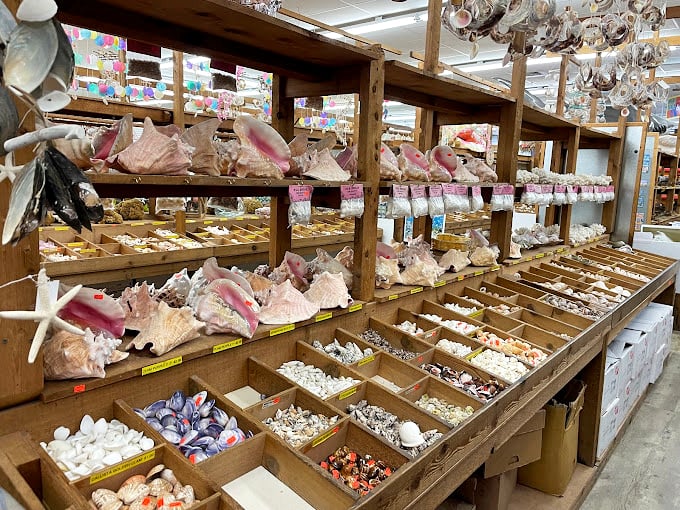 Seashell wind chimes hanging like oceanic chandeliers. Each gentle tinkle translates roughly to "Remember that time when you weren't answering work emails?"