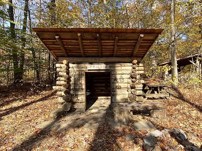 This rustic log shelter seems to whisper tales of simpler times when survival required ingenuity and connection to the land.