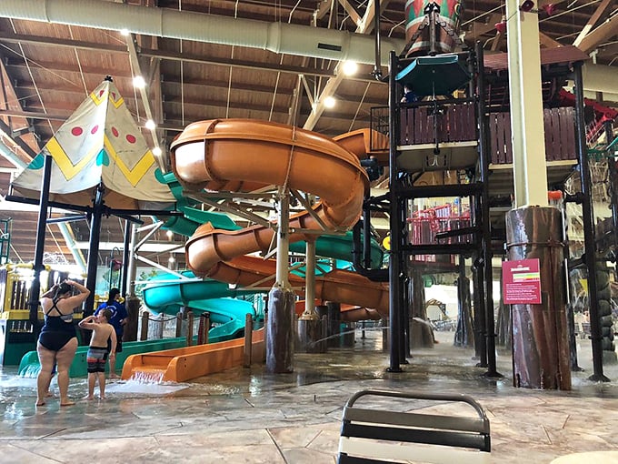 Waterslides with personality &ndash; these colorful tubes aren't just transportation; they're time machines that transform business executives back into their 10-year-old selves in seconds flat.