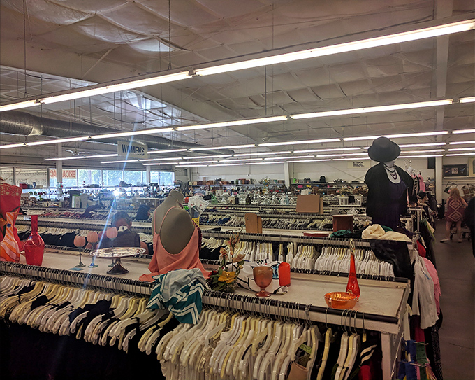 The vastness reveals itself as you venture deeper. Time becomes irrelevant when surrounded by so many potential treasures.