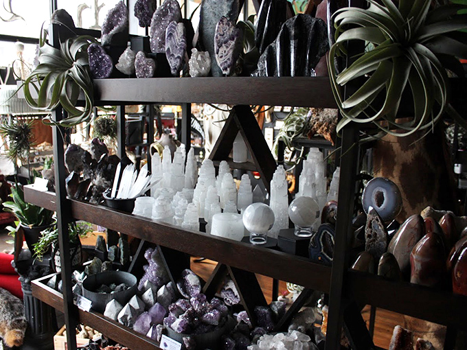 Crystal kingdom: Amethyst clusters and selenite towers create a mineral landscape that would make any geologist's heart skip a beat.