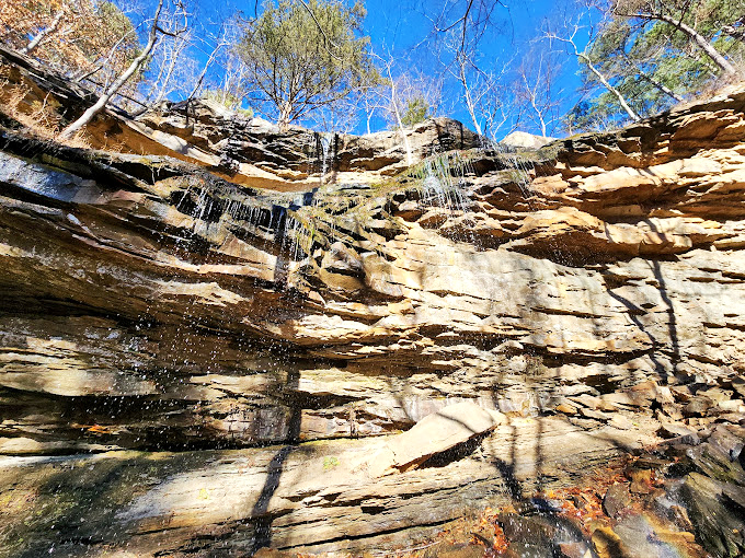 Sunlight transforms this modest waterfall into liquid gold, cascading down ancient rock faces that tell stories millions of years in the making.