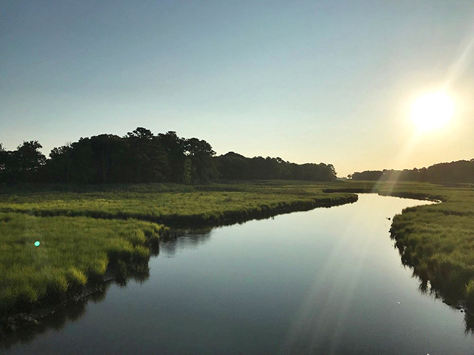 Dawn breaks over the marshlands, painting the water with liquid gold. Worth setting your alarm for, even on vacation.