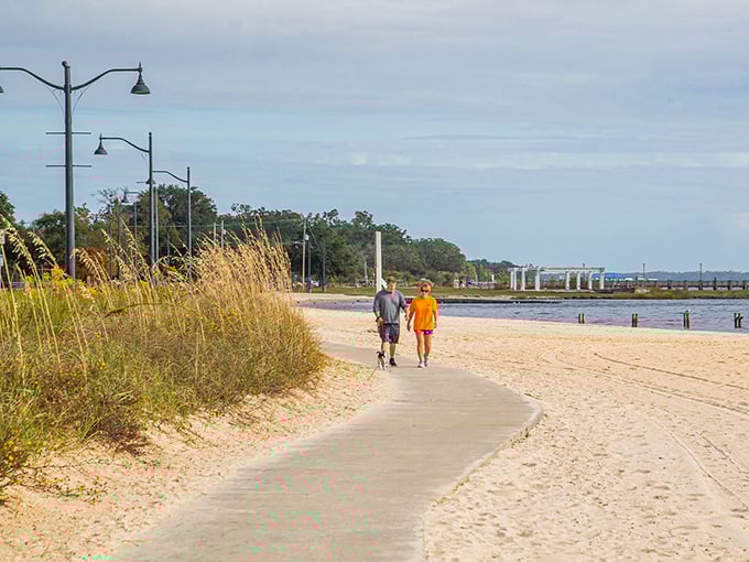 Live oaks create nature's cathedral over Washington Avenue, their branches reaching across decades of Ocean Springs history. 