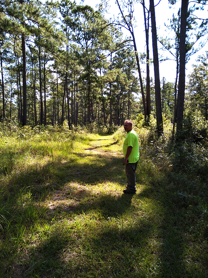 Hiking trails that don't require oxygen tanks or emergency evacuation insurance – just comfortable shoes and an appreciation for Georgia's gentle wilderness.