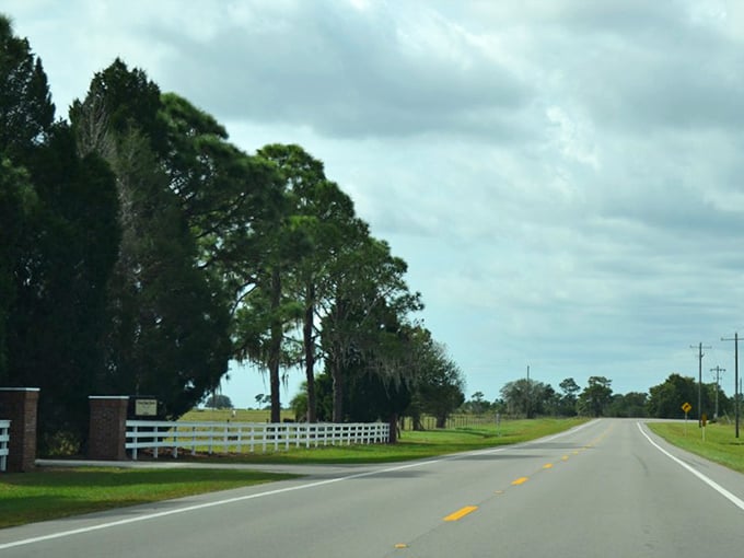 Who needs mountain passes when you have this? The gentle curves of southern Indiana's backroads offer their own brand of driving therapy.