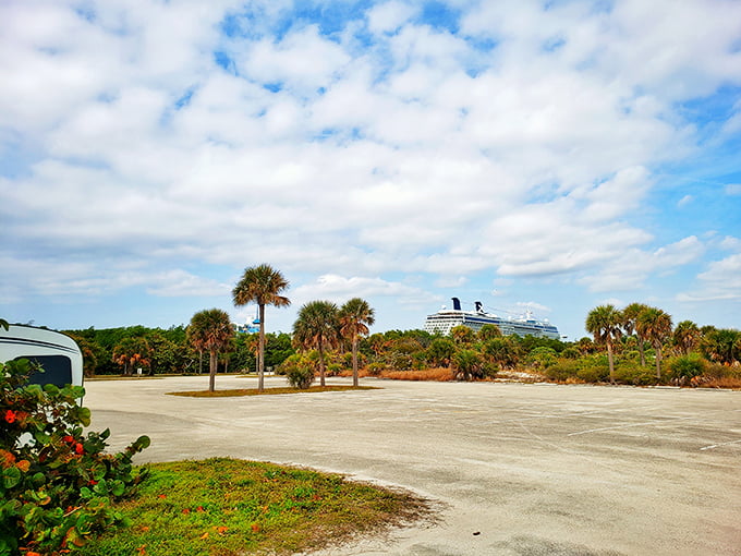 Where cruise ships and wilderness coexist. Only in Florida can you spot a massive ocean liner while standing in a pristine natural setting.