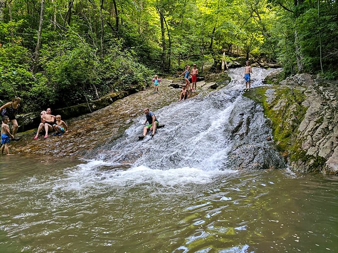 Nature's water park doesn't need mechanical pumps or admission fees. Just gravity, smooth stone, and the courage to slide right in.