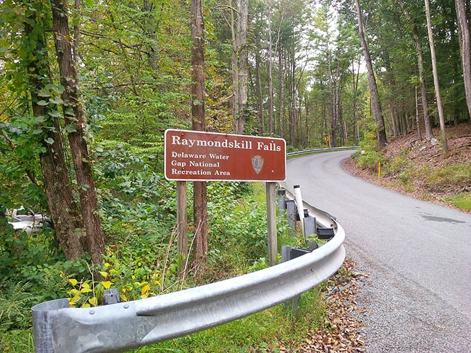 Two hikers descend into autumn's golden embrace. The trail's leaf-covered steps create a seasonal runway that fashion designers could only dream of replicating.