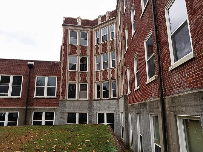Sunlight streams through broken windows into what was once a solarium, nature reclaiming spaces where healing was supposed to happen.