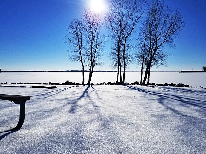 Winter transforms Waconda Lake into a snow-globe landscape where barren trees cast dramatic shadows across nature's frozen canvas.