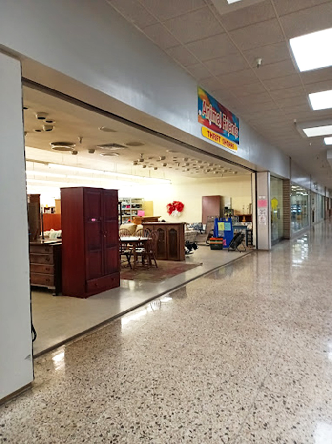 Animal Friends Thrift Shoppe: "Bright lights, big bargains! This spacious showroom turns yesterday's furniture into tomorrow's pet rescue funds."