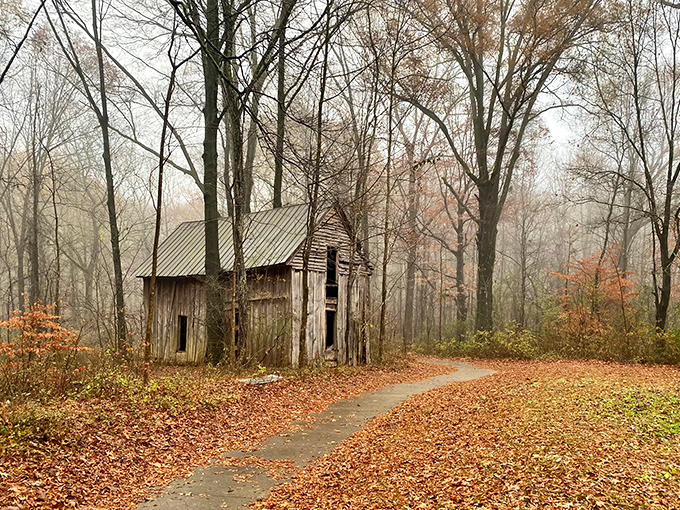 Big Cypress Park's entrance sign stands as a humble invitation to a small slice of natural Tennessee paradise.