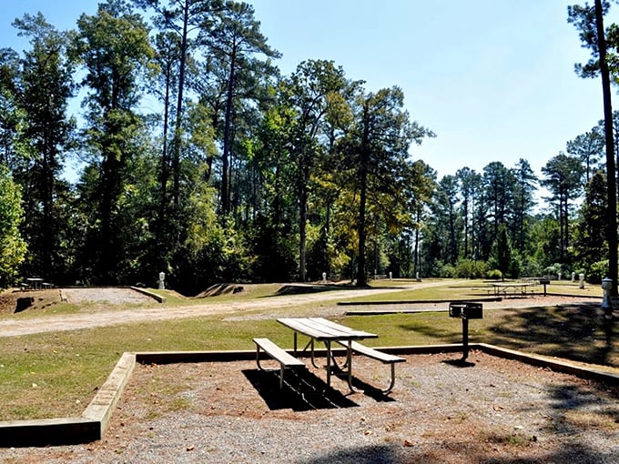 Bladon Springs State Park: Historic mineral springs where Victorians once "took the waters"&mdash;minus the uncomfortable corsets and plus modern plumbing.