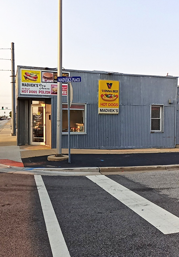 Madvek's no-frills exterior hides hot dog greatness within. Sometimes the plainest packages contain the tastiest treasures.