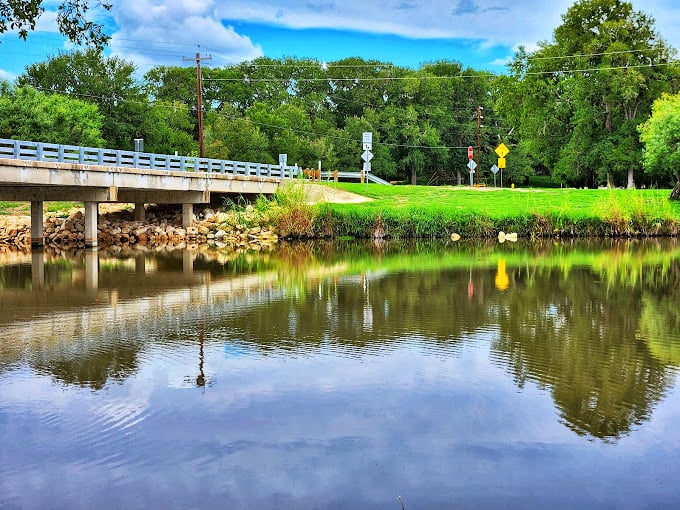 Palmetto State Park: Reflections dance on still waters as parklands offer that rare "Wait, did I accidentally drive to Florida?" moment.