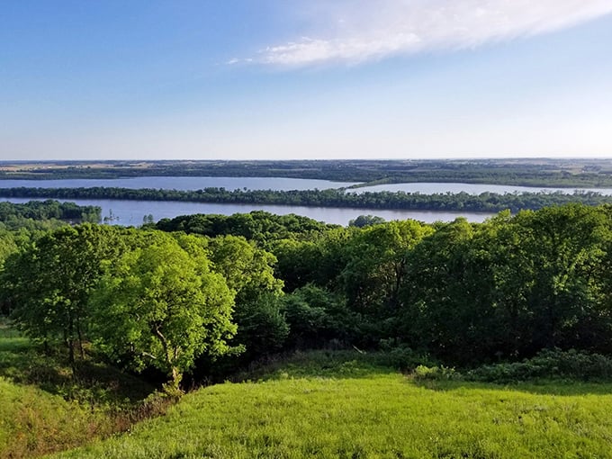 A vista that stops conversations mid-sentence. The Mississippi River Valley unfolds like a living map below.