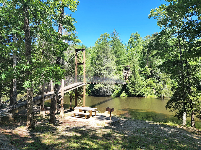 The swinging bridge at Pickett offers equal parts scenic views and unexpected core workout.