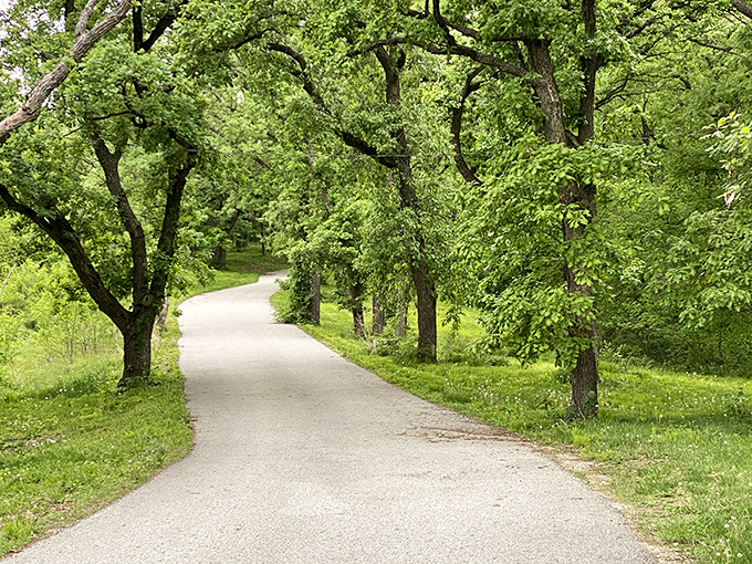 Preparation Canyon State Park's greeneries create nature's most soothing photo for the eyes.