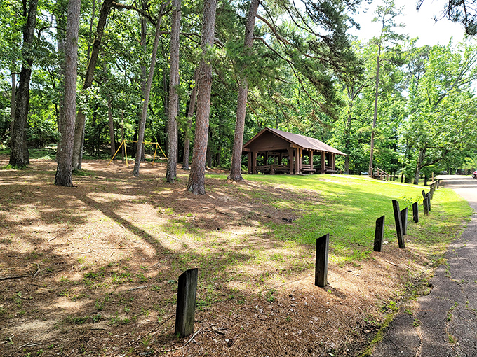 Roosevelt State Park's beach and pier &ndash; where summer memories are made one splash at a time. 
