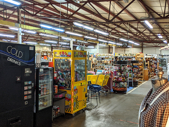 Warehouse of wonders! High ceilings and endless aisles at Harpers Ferry's market create a treasure-hunting playground that could keep you busy for days.