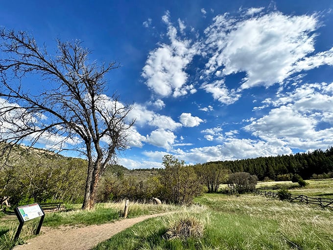 Mother Nature's paintbrush swept dramatically across this Castlewood Canyon vista. Even the clouds seem to pause in appreciation.