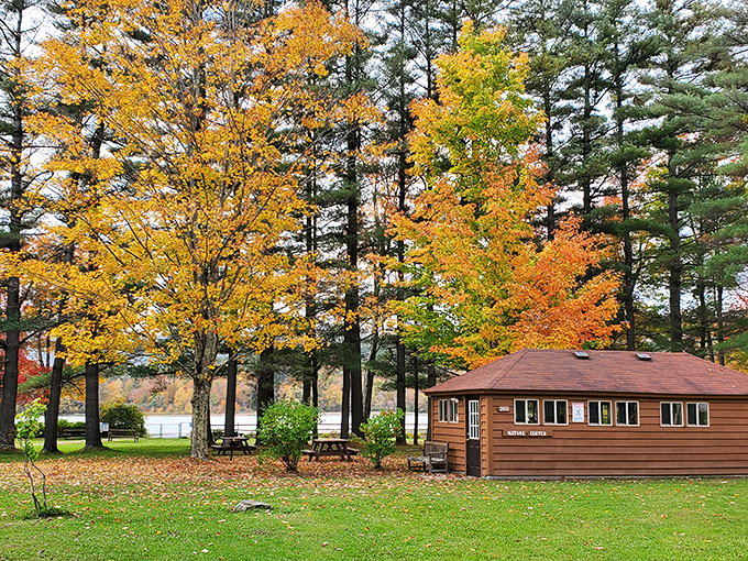 Rustic cabins nestled among golden maples embody Clarksburg's charm, where fall foliage creates nature's coziest backdrop.
