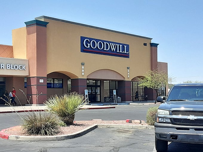 Goodwill's familiar blue sign has become as iconic as golden arches&mdash;but with treasures far more unique than any Happy Meal.