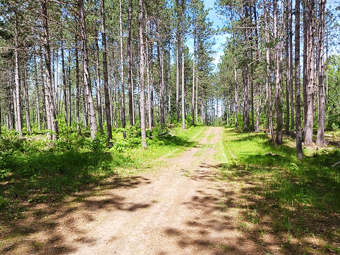 A bench with a million-dollar view at Governor Thompson - nature's version of lakefront property we can all enjoy. 
