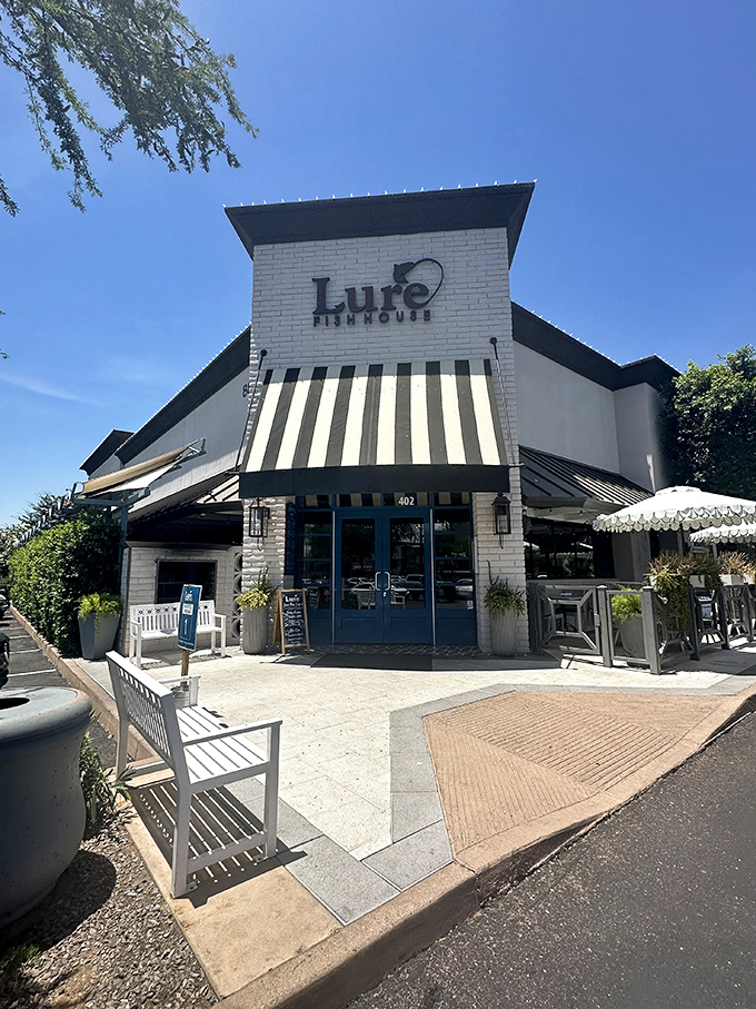 Those striped awnings and blue doors at Lure signal the kind of place that takes seafood seriously without taking itself too seriously.