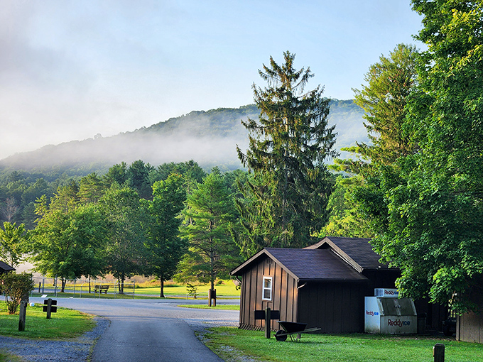 Dock of dreams! Moncove's peaceful waters invite paddlers to explore every hidden cove and forgotten fishing spot.