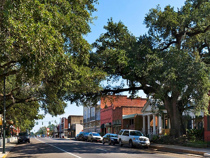Magnificent brick buildings and towering oak trees make Opelousas a picture-perfect setting for affordable Southern living.